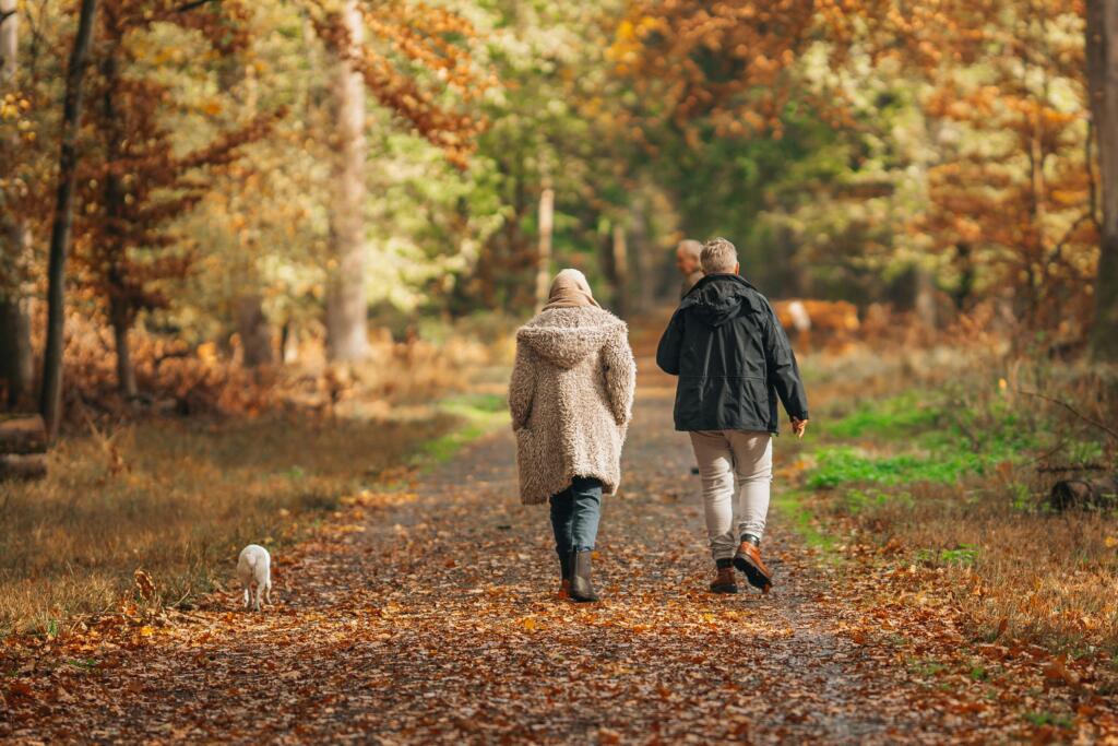 Stress Management and Self-care in Times of Change | Ageing Australia